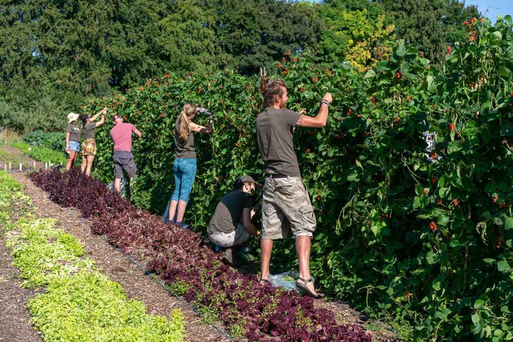 Wandel vor Ort: Transformation von Ernährung und Landwirtschaft